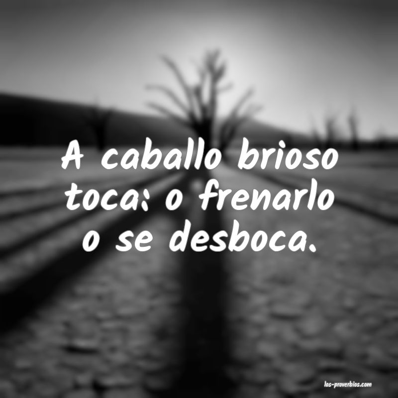 A caballo brioso toca: o frenarlo o se desboca.