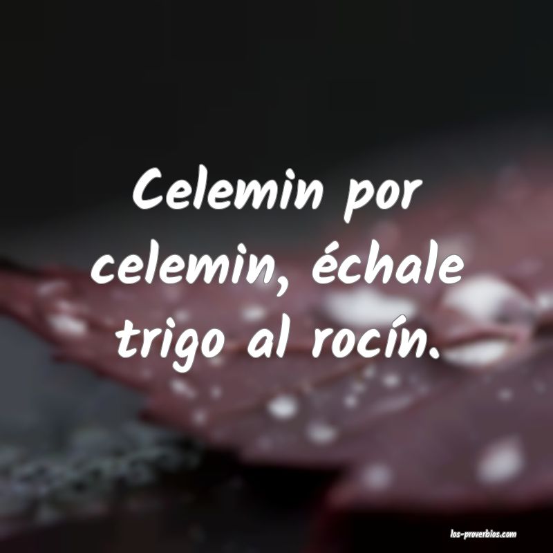 Celemin por celemin, échale trigo al rocín.