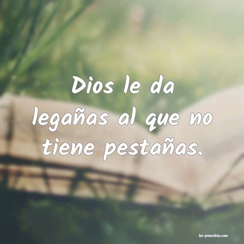 Dios le da legaÃ±as al que no tiene pestaÃ±as.