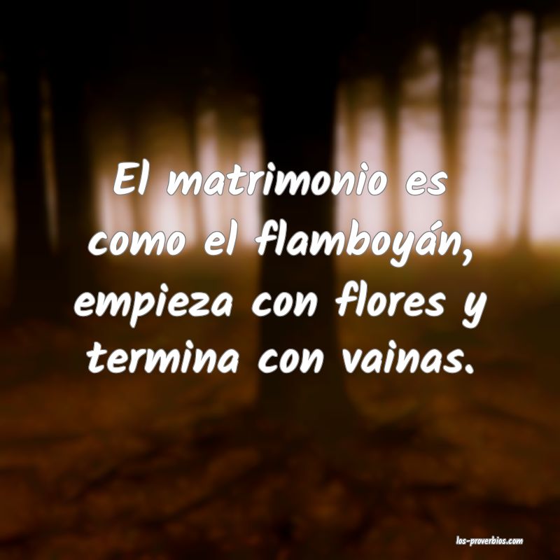 El amor empieza con los ojos y termina con la costumbre...