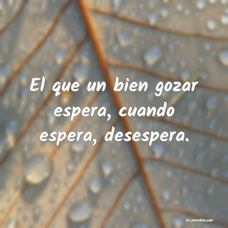 Del avaro un solo bien se espera: que se muera.