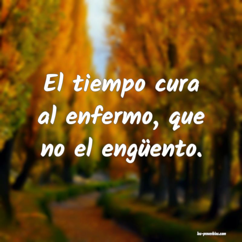 El tiempo cura al enfermo, que no el engüento.