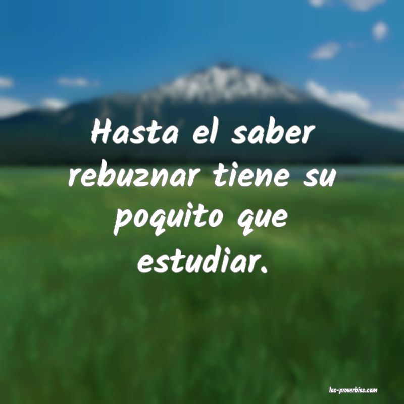 Coloca a tu burro junto a otros burros y aprenderá a rebuznar.