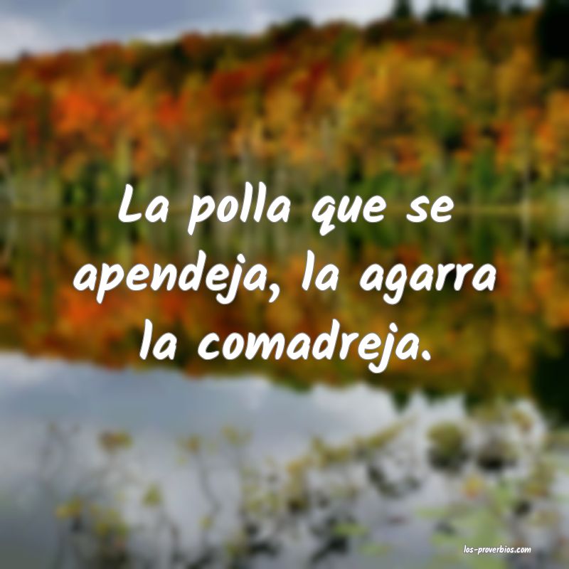 Con Buena Polla Bien Se Jode