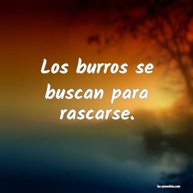 Los burros se buscan para rascarse. Los burros se buscan para rascarse.