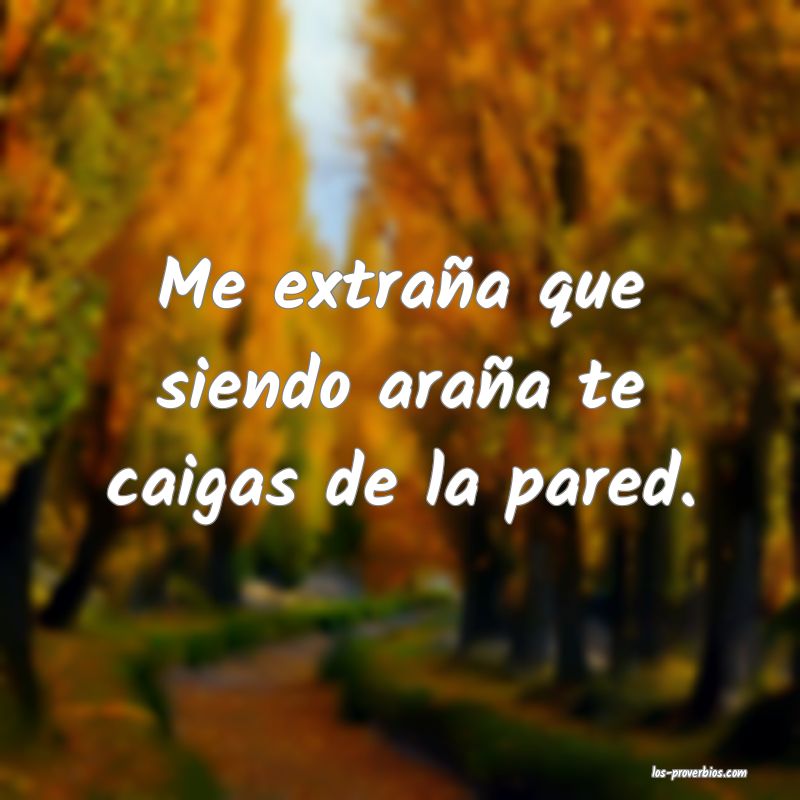 Me extraña que siendo araña te caigas de la pared.