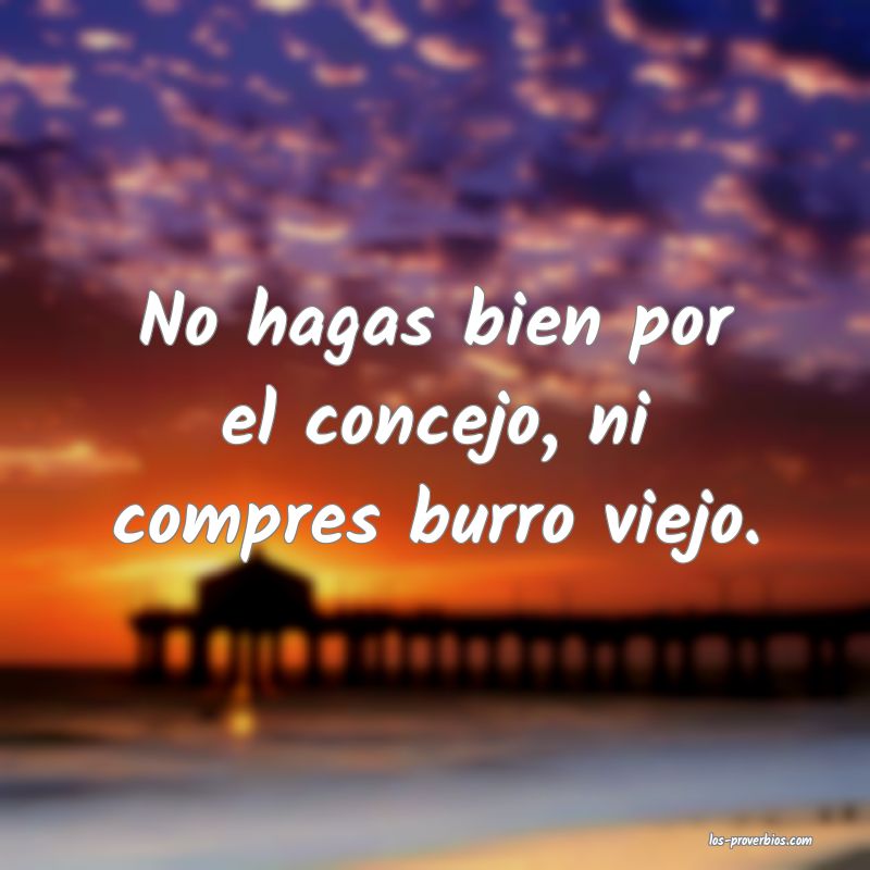 Proverbios De Burro (3)