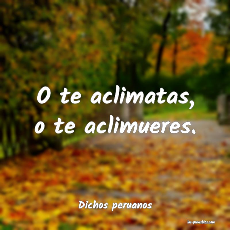 Dichos Peruanos