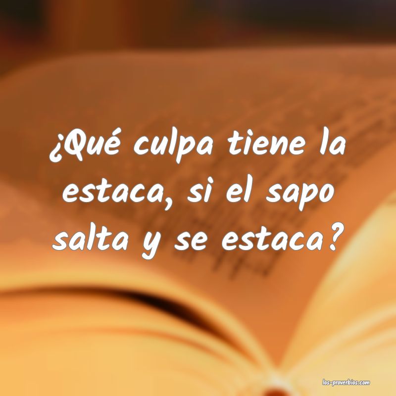 ¿Qué culpa tiene la estaca, si el sapo salta y se estaca?