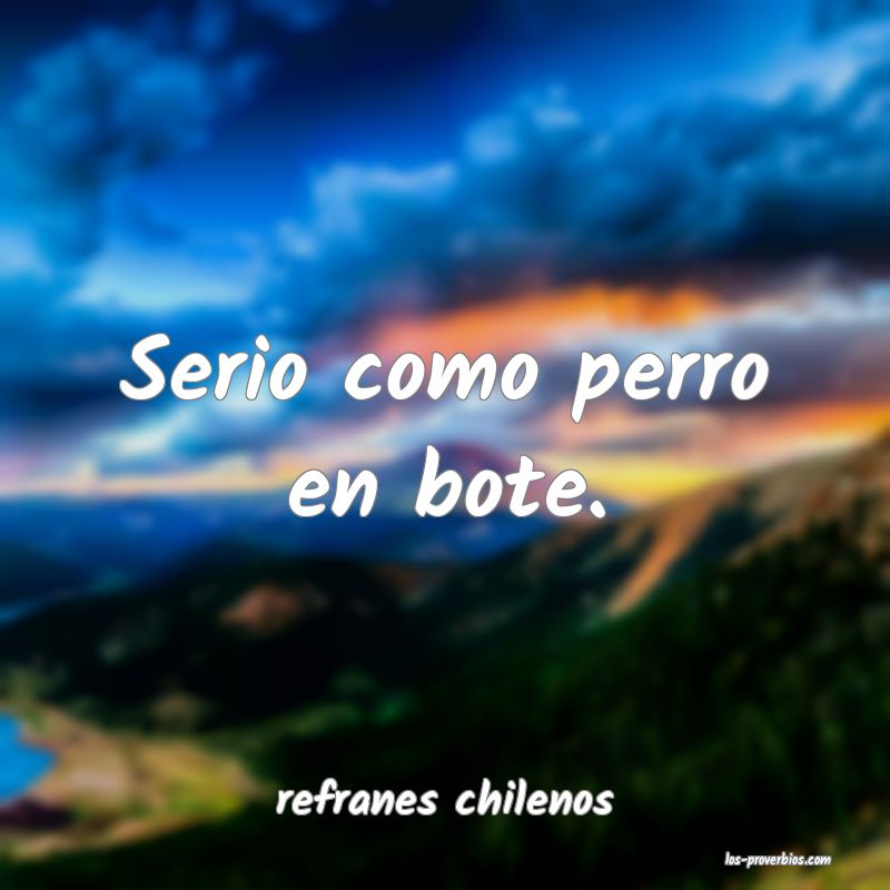 Serio como perro en bote.