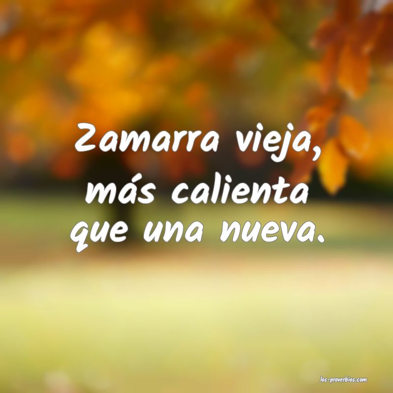 No todo el que lleva zamarra es pastor.