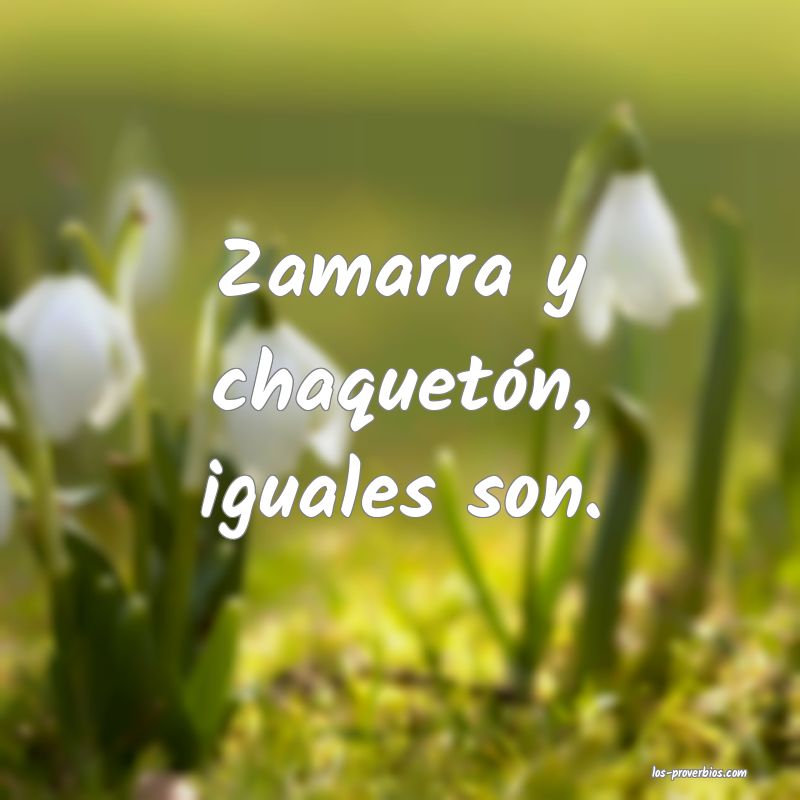 No todo el que lleva zamarra es pastor.